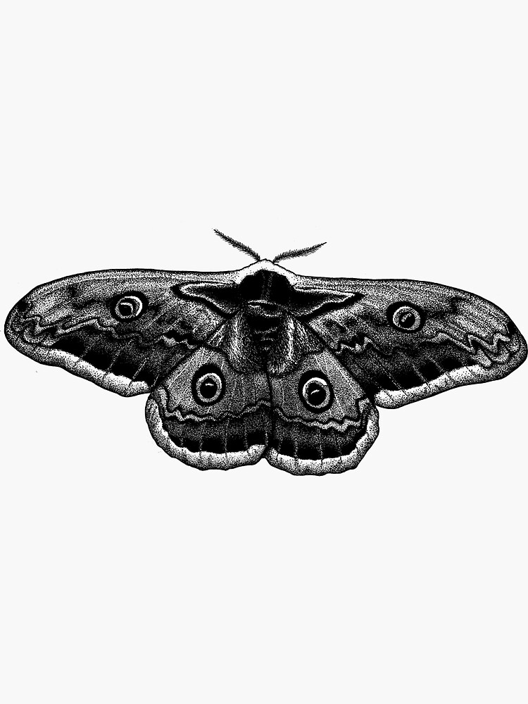 "Saturnia Pyri (Giant Peacock Moth)" Sticker for Sale by ...