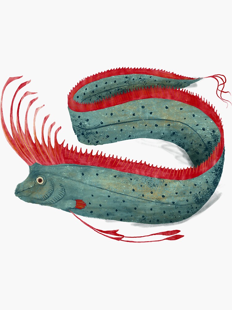 "Oar fish" Sticker for Sale by Katherine Quinn | Redbubble