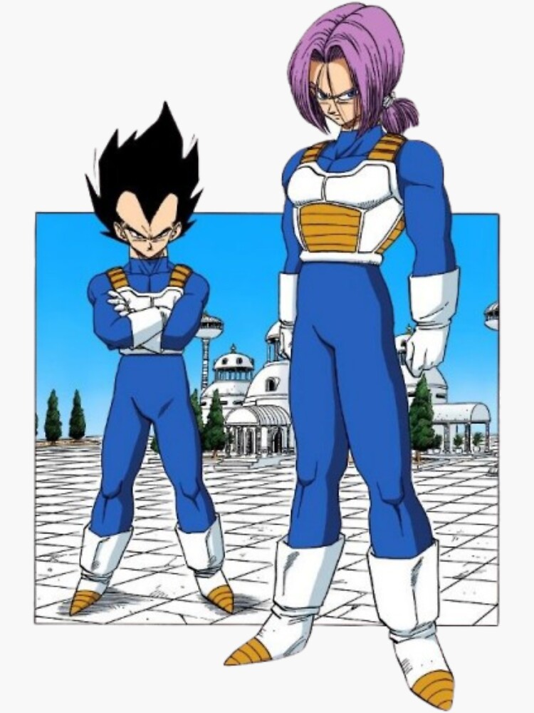 "Vegeta and Future Trunks" Sticker for Sale by Peponji | Redbubble