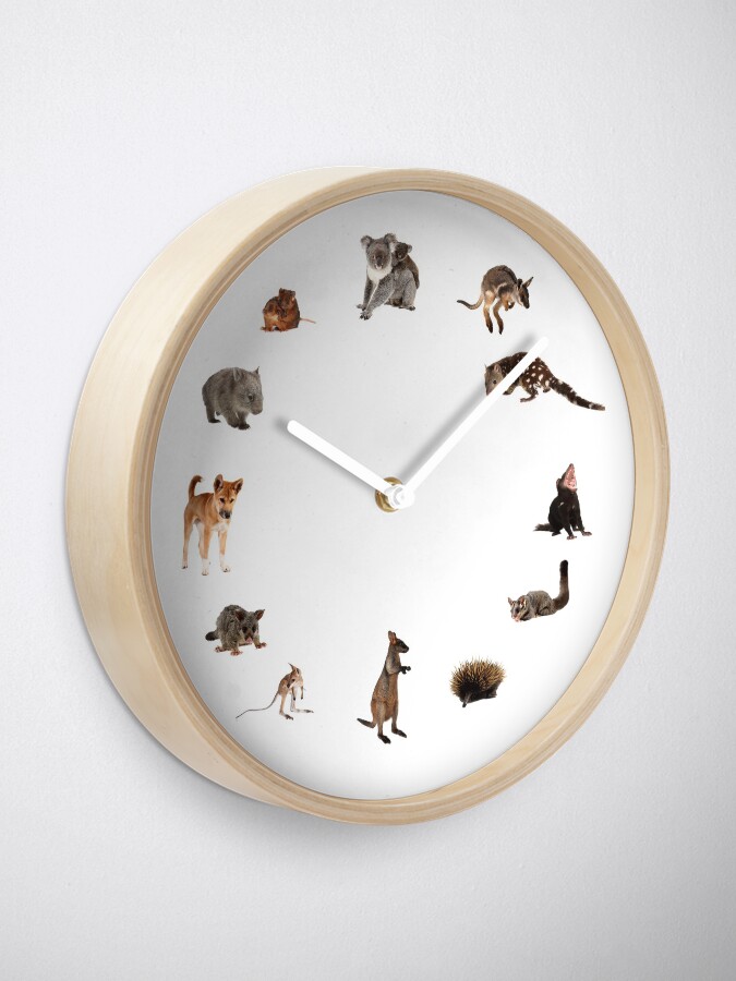 "Mammals of Australia" Clock for Sale by gerryp1 | Redbubble