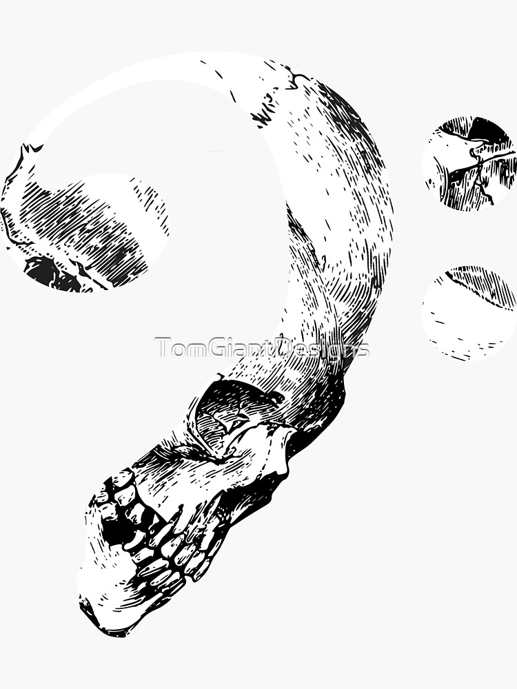 "Bass Clef Skull" Sticker by TomGiantDesigns | Redbubble