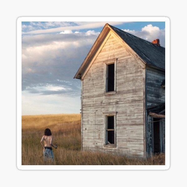 "Jane Remover (dltzk) Census Designated Album Artwork" Sticker for Sale ...