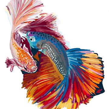 "Couple of Colorful Fish Embracing - Vibrant and Romantic Fish ...
