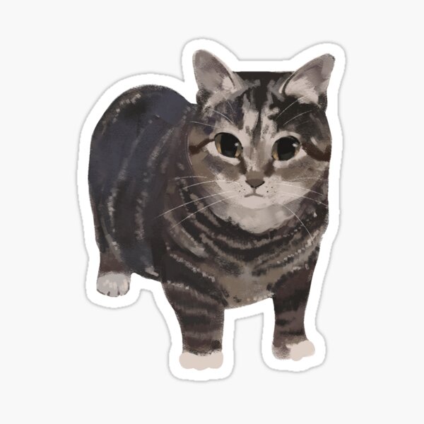 "Spinning Cat Meme Oiiai" Sticker by Asutip | Redbubble