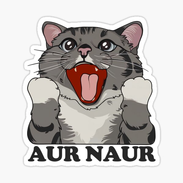 "Aur Naur Cute Funny Cat" Sticker for Sale by stickersworld31 | Redbubble