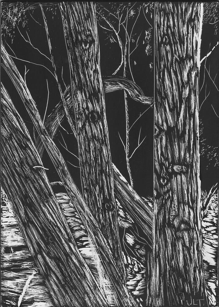 "The Trees Are Watching" by Jennifer Tiedemann | Redbubble