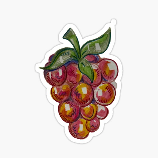 "colored pencil raspberry " Sticker for Sale by GenerationB | Redbubble