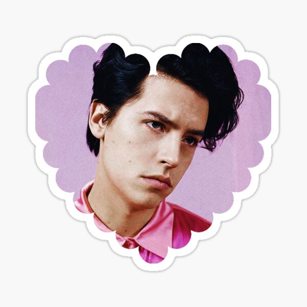 "cole sprouse - pink heart" Sticker by electricgal | Redbubble