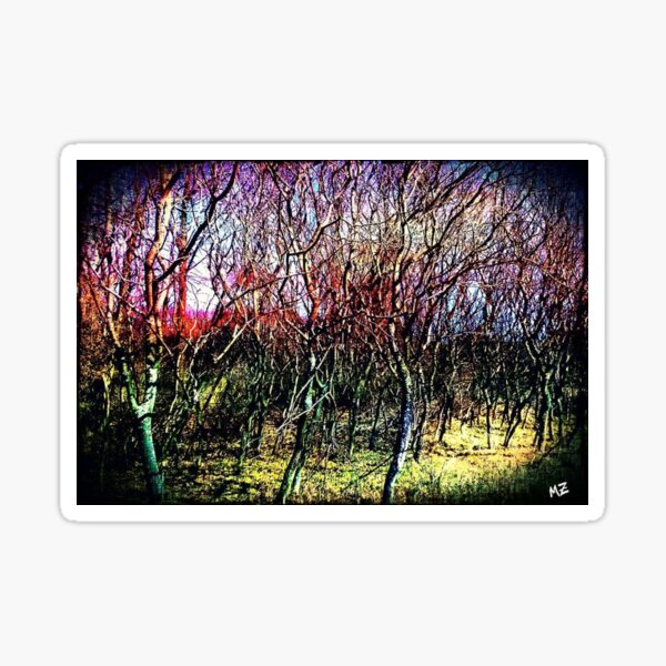 "forestwave" Sticker for Sale by mandiblez | Redbubble