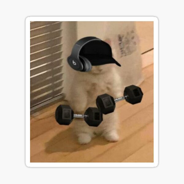 "Gym Cat" Sticker for Sale by MindExpansion | Redbubble