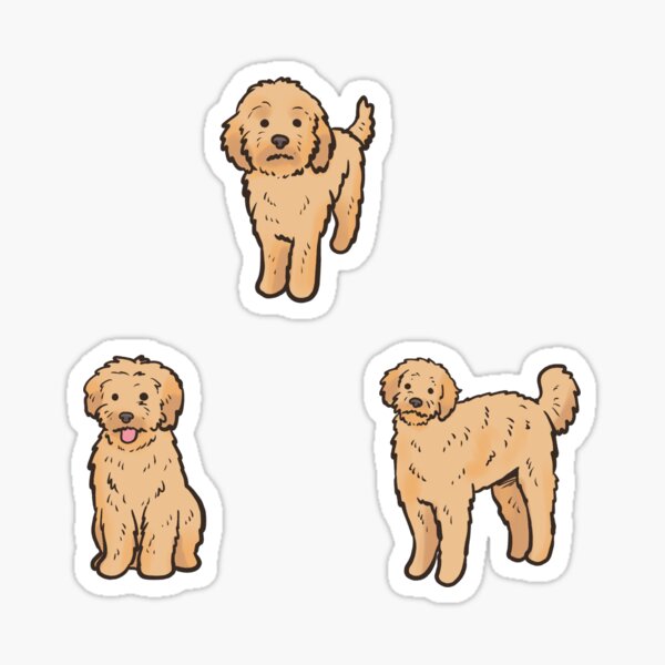 Cavapoo Merch & Gifts for Sale | Redbubble