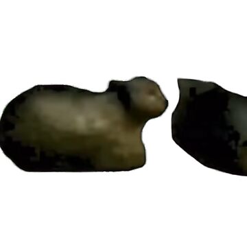 "OIIAOIIA Spinning Cat" Sticker for Sale by stersabriz | Redbubble