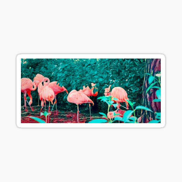 Oasis Merch & Gifts for Sale | Redbubble