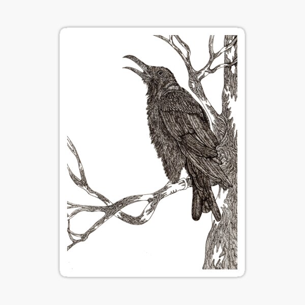 "The last flight of the Morrigan" Sticker for Sale by cerridwen | Redbubble
