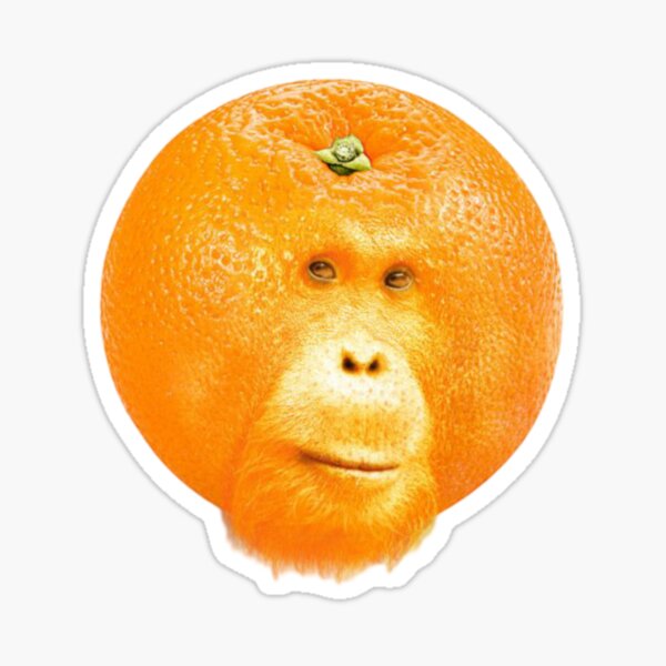 "Orange orangutan monkey meme design" Sticker for Sale by Endless-mind ...