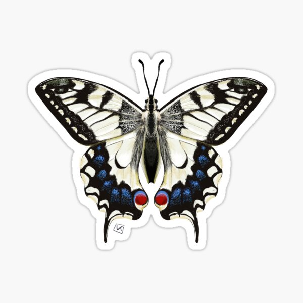 "Oregon Swallowtail Drawing" Sticker for Sale by NaturalistEtc | Redbubble