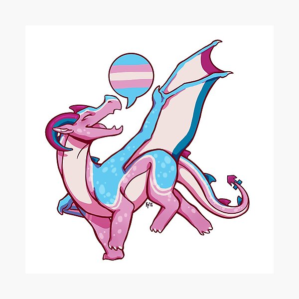 Transgender Pride Flag Dragon 2nd Edition Photographic Print For