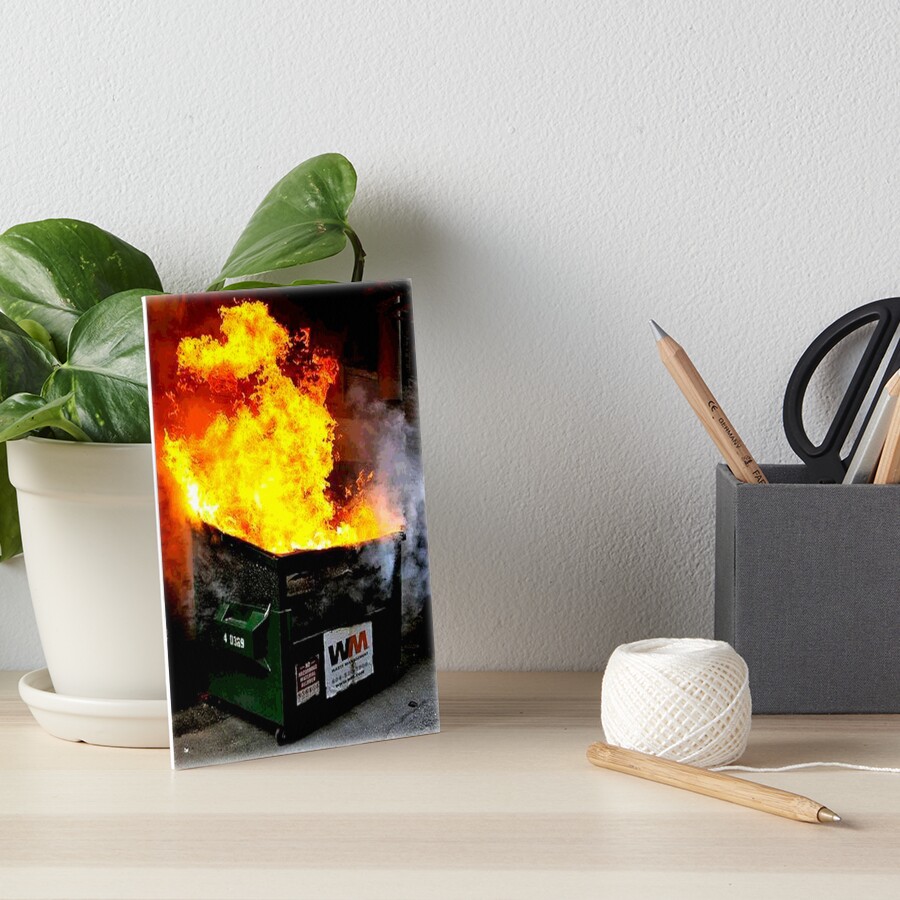 "Dumpster Fire" Poster for Sale by racecar32 | Redbubble