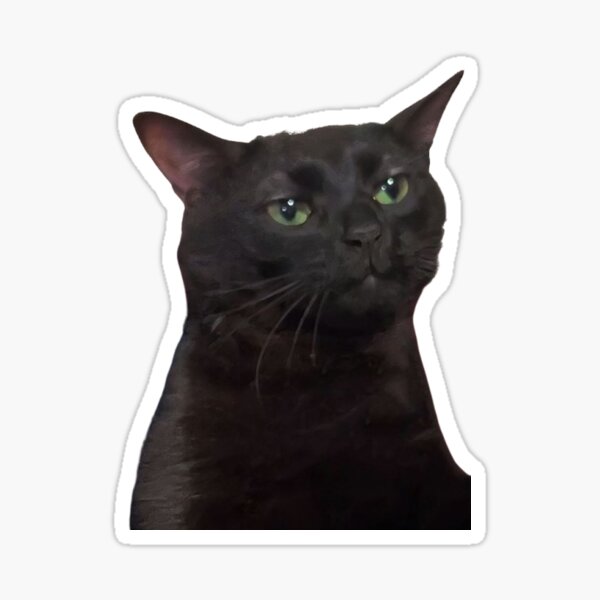 "Dissociated cat" Sticker for Sale by TWILIGHTz | Redbubble