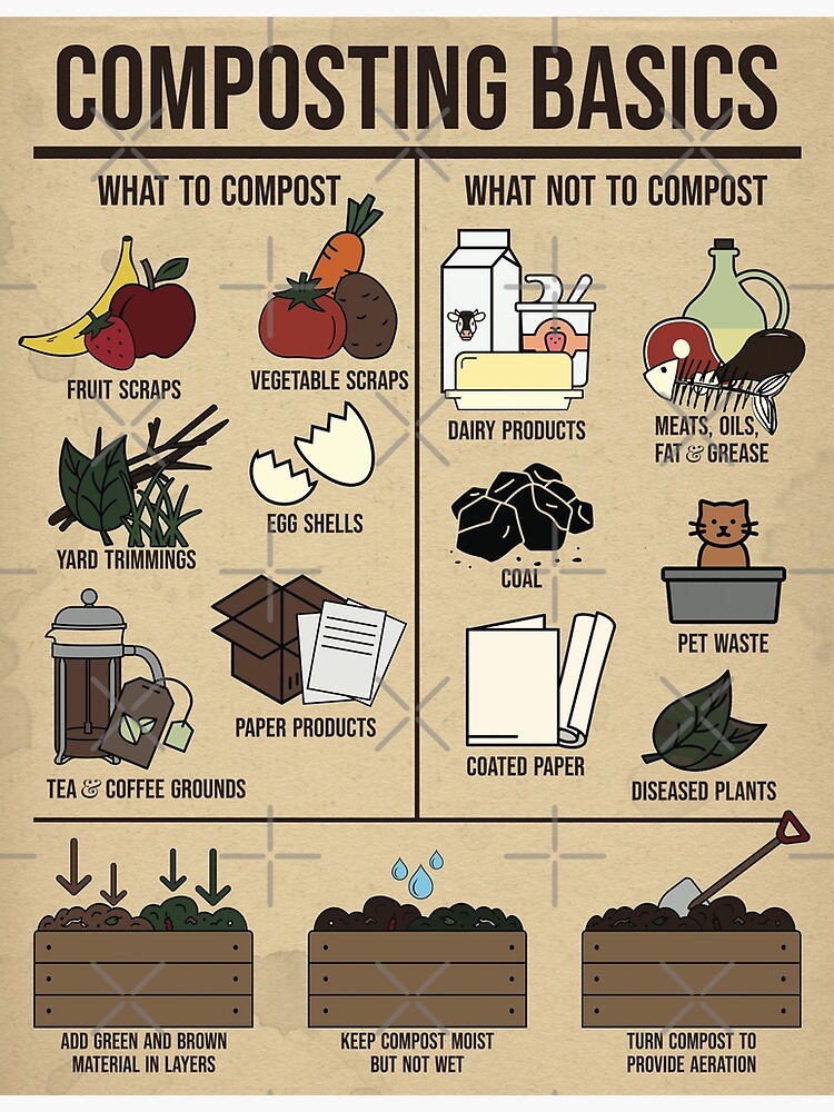 "Composting Basics Diagram" Poster for Sale by lolos-graphics | Redbubble