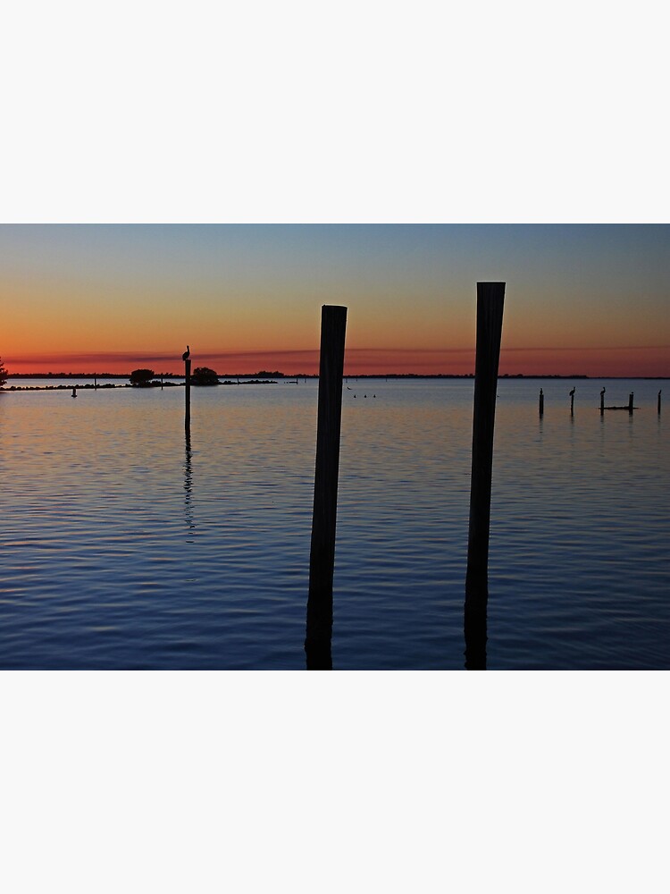 "Somber Siesta" Poster for Sale by Michiale | Redbubble