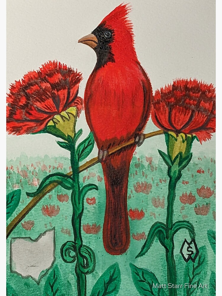 Ohio State Bird And Flower Cardinal Cardinalis
