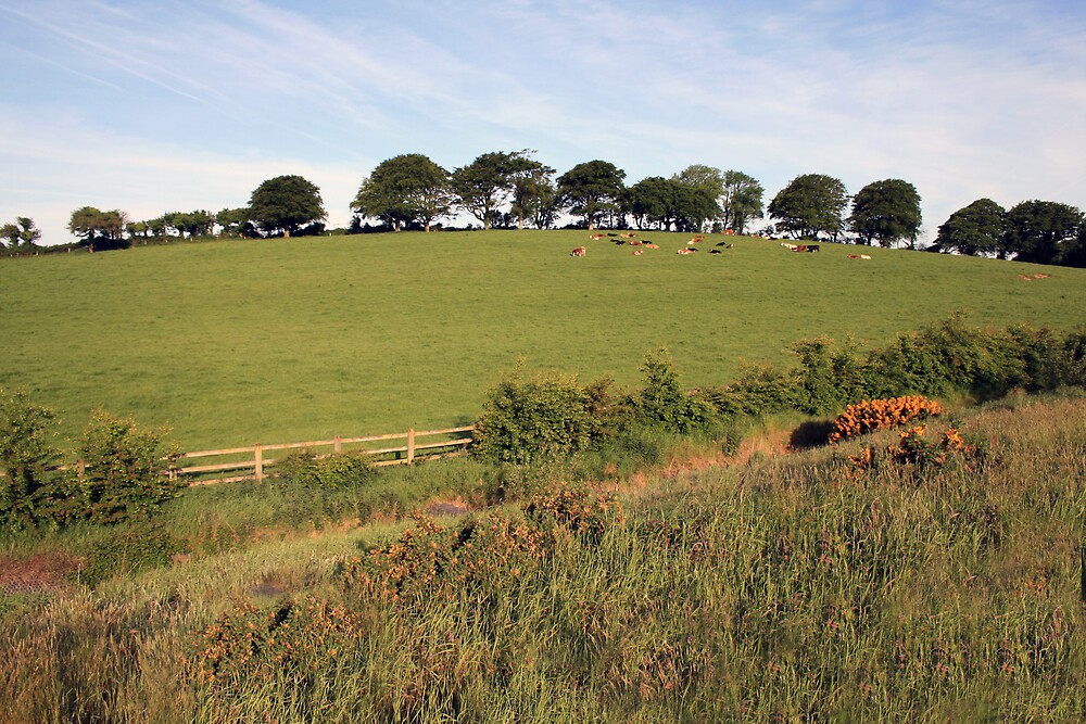 "Rural Irish farm scene" by John Quinn | Redbubble