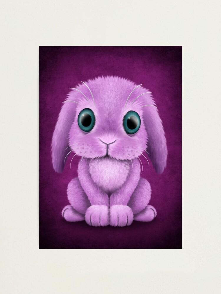 "Cute Purple Baby Bunny Rabbit " Photographic Print for Sale by ...
