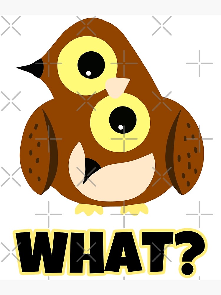 "Cute Owls Wonder What Text Cartoon Question Mark" Poster for Sale by ...