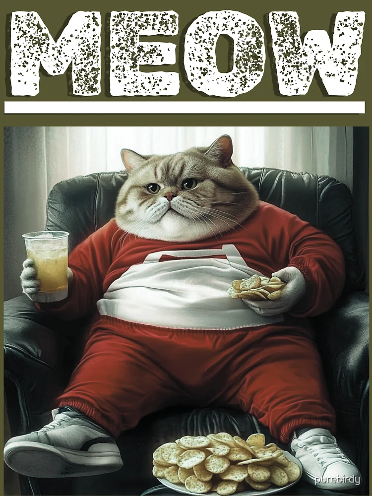 Funny Fat Cat Meme