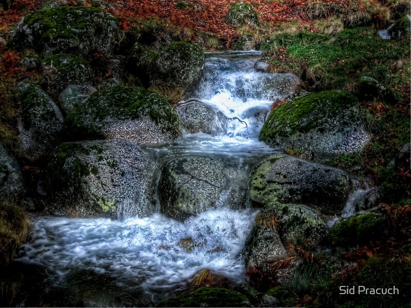 "Stream of Tears" by Sid Pracuch | Redbubble