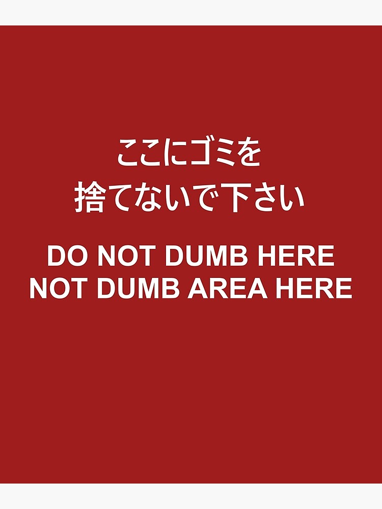 "Bad Translation - Do not dumb here. Not dumb area here. こにゴミを捨てないで下さい ...