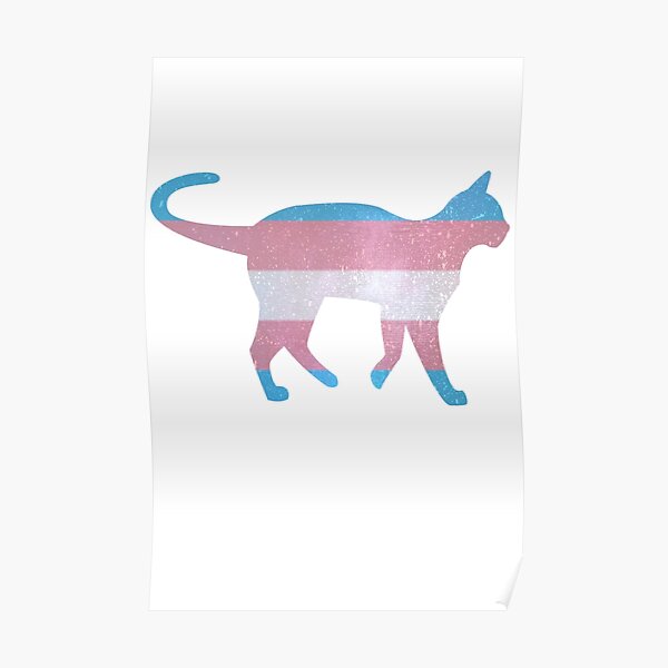 "Trans pride cat" Poster by kittykarnstein | Redbubble