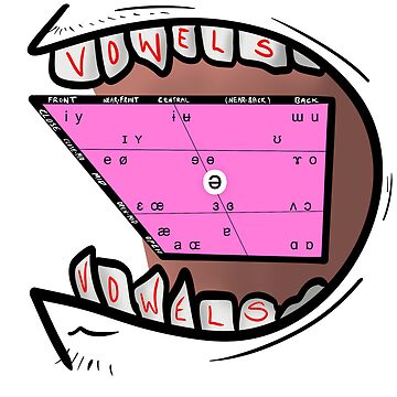 "IPA Vowel Chart" Sticker for Sale by AgmaSchwa | Redbubble