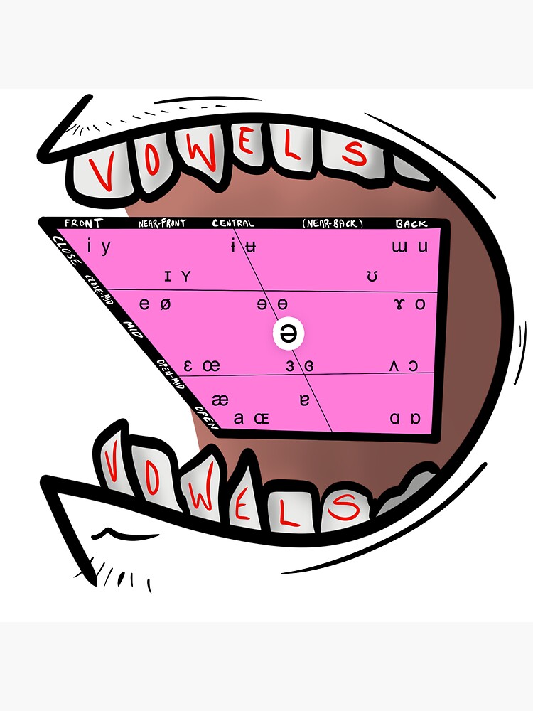 "IPA Vowel Chart" Sticker for Sale by AgmaSchwa | Redbubble