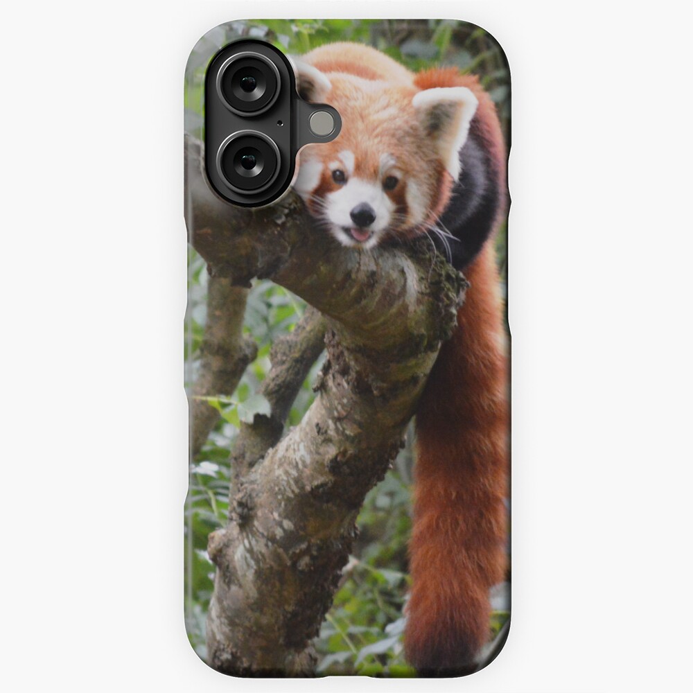 "Chilling Red Panda style" Sticker for Sale by rosannamaria | Redbubble