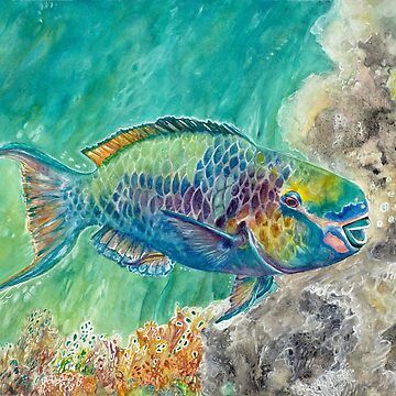 "Uhu (Rainbow Parrotfish) – Vibrant Hawaiian Marine Life Watercolor Art ...