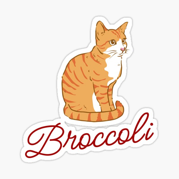 "Broccoli the kitten | Fourth Wing | Iron Flame | Onyx Storm" Sticker ...