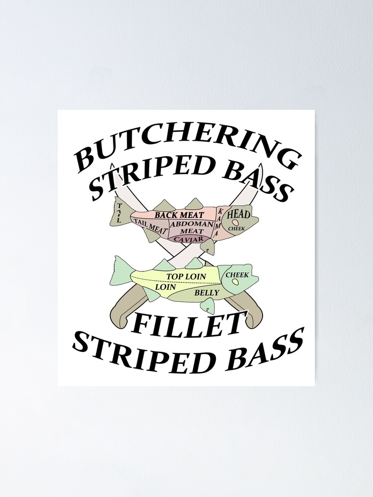 "Striped Bass Fillet and Butchering diagrams " Poster by hookink ...