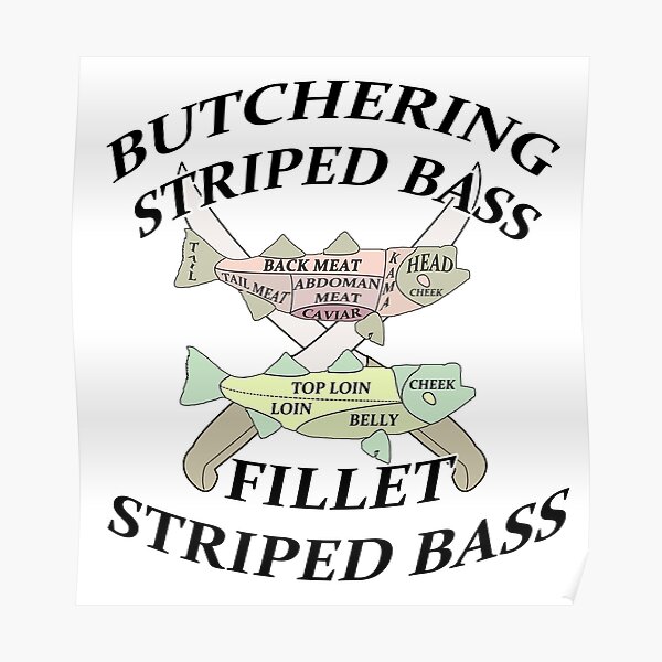 "Striped Bass Fillet and Butchering diagrams " Poster by hookink ...