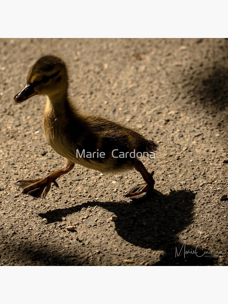 "One Foot Forward " Poster by mcardona | Redbubble