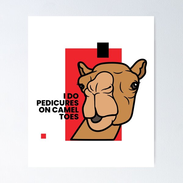 "I Do Pedicures On Camel Toes - Funny Camel slang words" Poster for ...