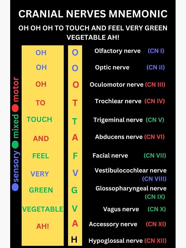 "Cranial nerve mnemonic " Poster for Sale by Pratyush1111 | Redbubble