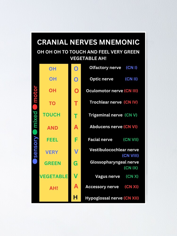 "Cranial nerve mnemonic " Poster for Sale by Pratyush1111 | Redbubble