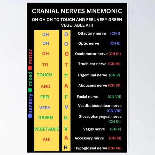 "Cranial nerve mnemonic " Poster for Sale by Pratyush1111 | Redbubble