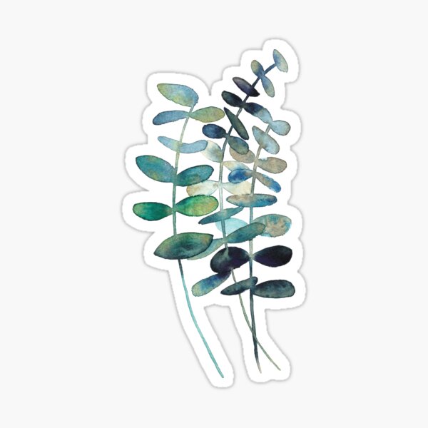 Eucalyptus Stickers | Redbubble