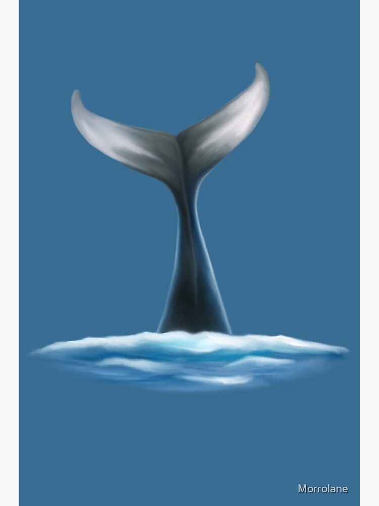 "Whale Fin" Art Print by Morrolane | Redbubble