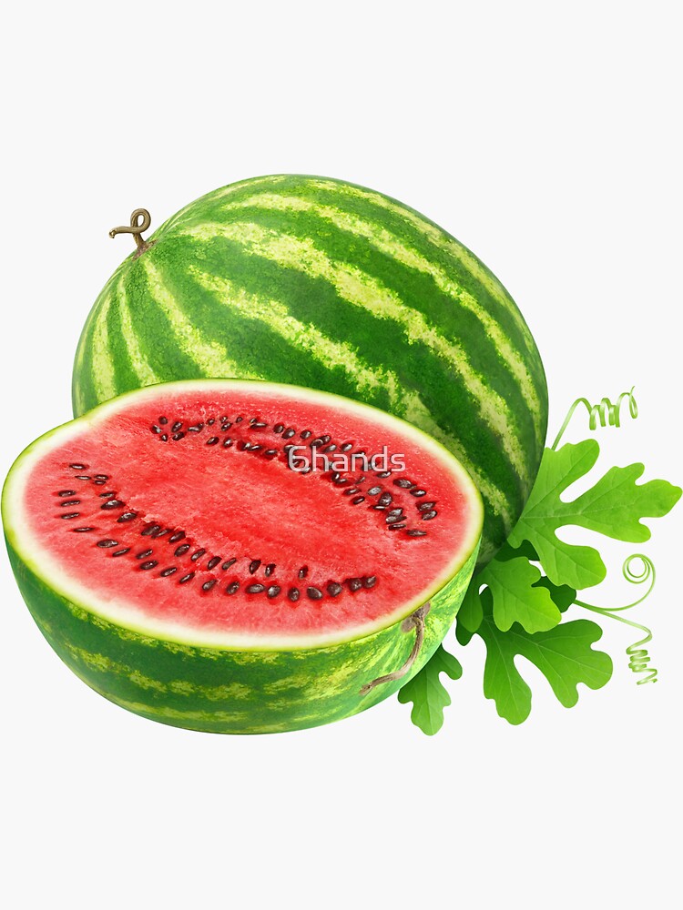 "Watermelons" Sticker for Sale by 6hands | Redbubble