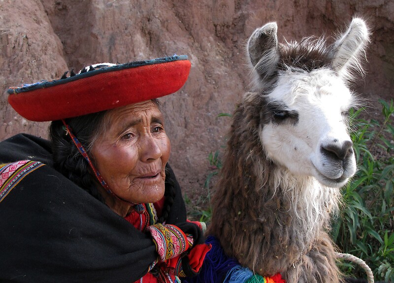 "LADY WITH LLAMA - PERU" by Michael Sheridan | Redbubble