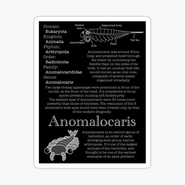 "Anomalocaris data file" Sticker for Sale by ti-Moth-y | Redbubble